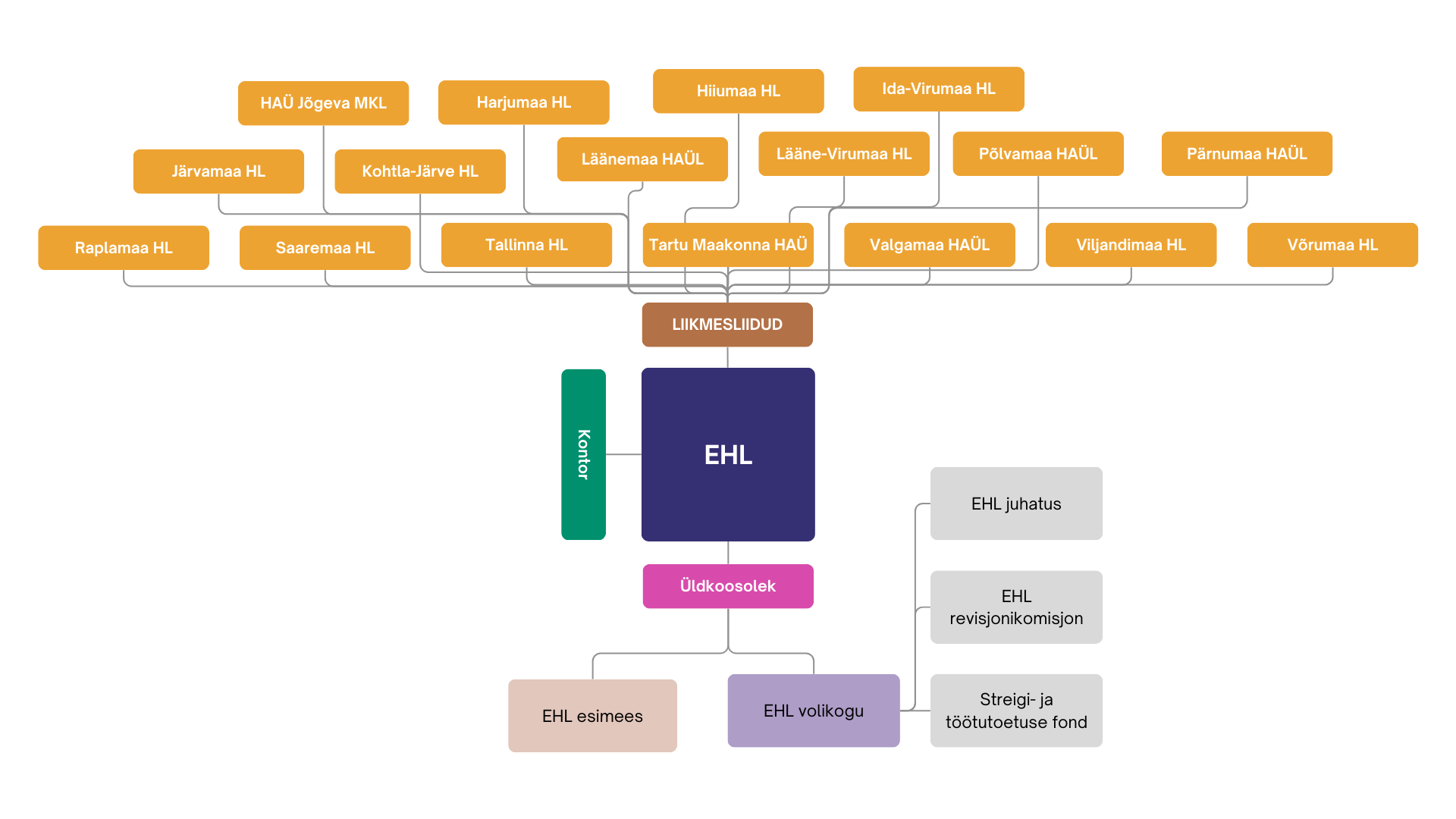 Organisatsiooni struktuur ja juhtimine - Eesti Haridustöötajate Liit
